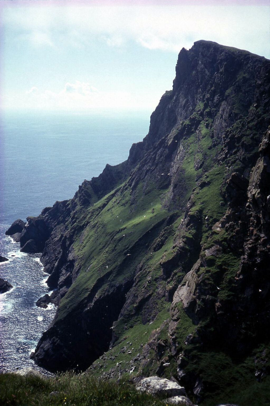 Do You Have St Kilda Ancestry? Find out at Hebrides People